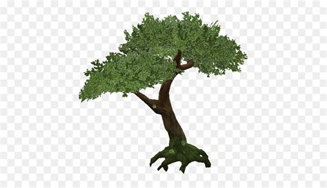 Transparent Background Trees Clipart Png Clip Art Library