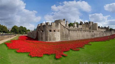 Python 保存 Cookies 到文件并再次读取 自由行
