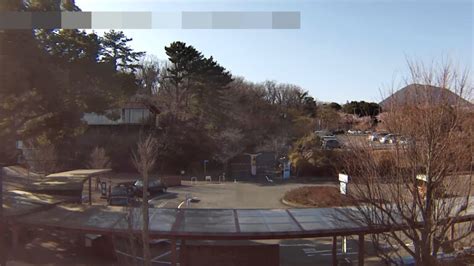Jlc福岡競艇ライブカメラ福岡県福岡市中央区 ライブカメラdb