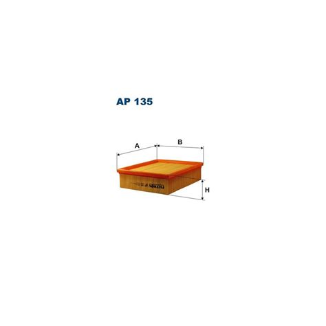 FILTRON AP 135 Air Filter – ML Performance