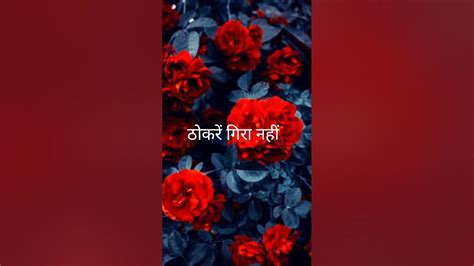 उम्र थका नहीं सकती ठोकरें गिरा नहीं सकती अगर जिद हो जीतने की तो हार