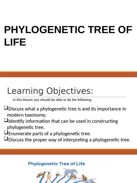 Taxonomic Concepts And Principles Pdf Phylogenetics Phylogenetic Tree