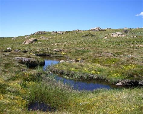 Using Drones To Monitor Peatlands Drone Below