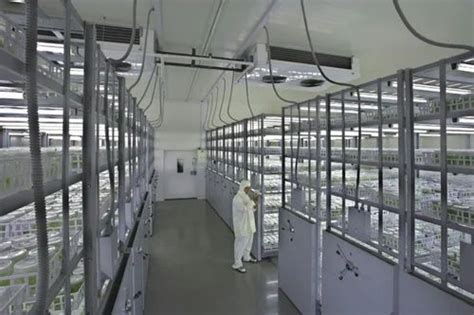 5 8 feet movable file storage system at rs 85500 in pune id 26004606362