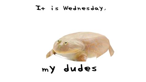 It Is Wednesday My Dudes Download Free 3d Model By Wednesday Frog Wednesdayfrog 4769657