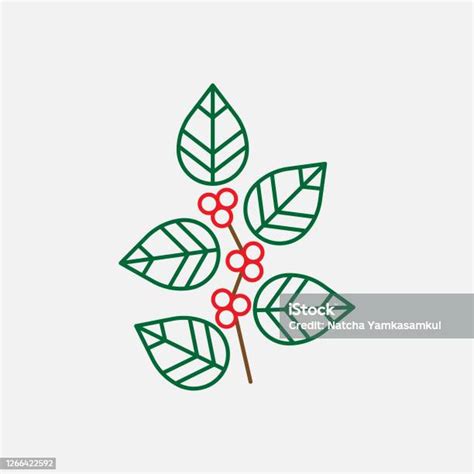 咖啡分店線條樣式插圖植物與葉 漿果 水果 種子天然咖啡因飲料隔離在白色背景的商店向量圖形及更多咖啡 飲品圖片 咖啡 飲品 樹葉