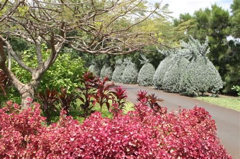 Live Life Like It S A Vacation 2004 March Our 3rd Kauai Visit Dad S 2nd Tim And Faith S