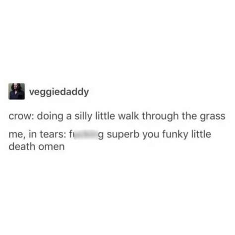 Mother Natures Lols Hilarious Nature Memes 27 Pics