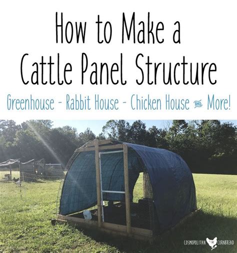 How To Make A Cattle Panel Structure Make A Greenhouse Chicken House Rabbit House And More