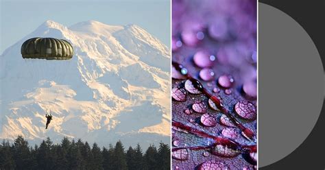 List Dropout Curated By Christoph Hoevel Medium