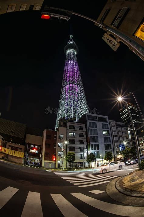 Paysage Urbain D arbre Et De Tokyo De Ciel Photographie éditorial