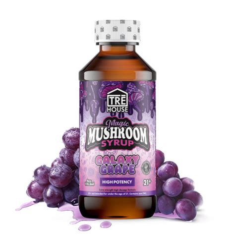 Trehouse Magic Mushroom Syrups