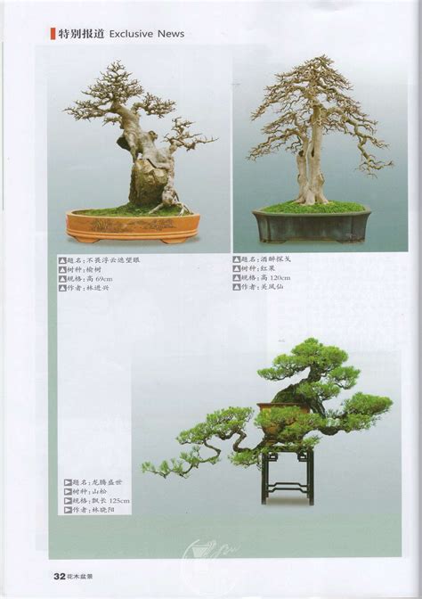 杂志刊载阳江市盆景协会成立36周年会员作品展盛况 盆景自由讲 岭南盆景网 Powered By Discuz