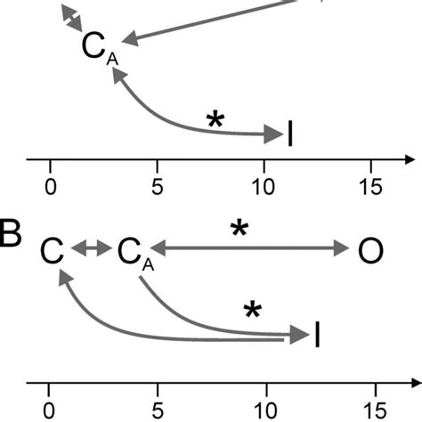 The Possible Branching Pathways Connecting Main Functional States Download Scientific Diagram
