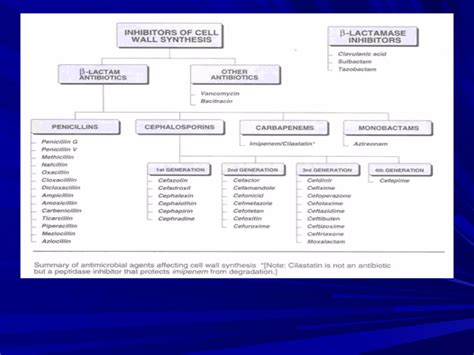 Cephalosporins Ppt
