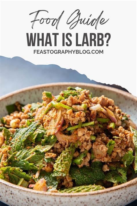 What Is Larb Laos Famous Spicy And Sour Meat Salad In 2023 Meat