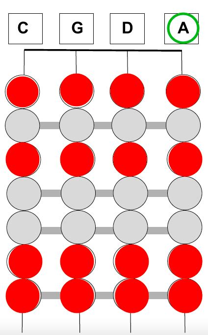 Viola A String Diagram Quizlet Viola A String Diagram Quizlet