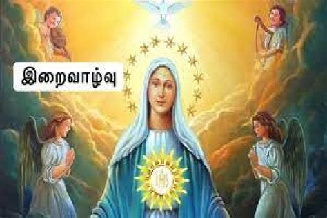 புலம்பெயர்தேச மக்களுக்கு விடுக்கப்பட்ட அழைப்பு ஐபிசி தமிழ்
