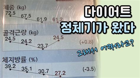 14kg 뺀 30대 비만녀 다이어트 정체기가 찾아왔다 중요한 건 꺽여도 계속하는 마음 Youtube