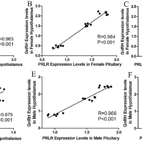 Relative Expression Levels Of Prolactin Receptor Prlr Mrna In The