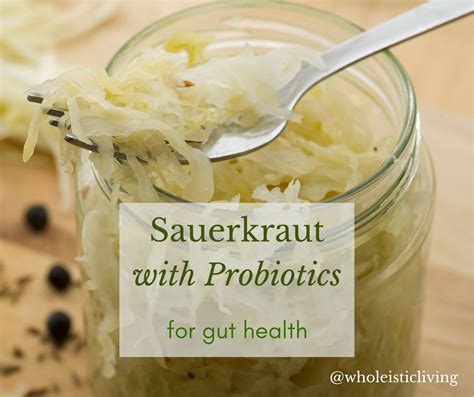 Best Sauerkraut With Probiotics Accion Chicago