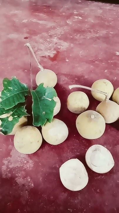 කාල තියනවද 🥰😍ඩොන්ගා Love Chocolatecake Youtube