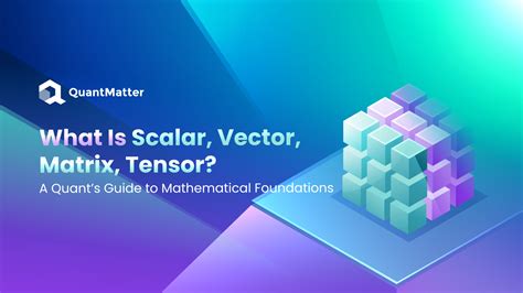 scalars vectors matrices and tensors the building blocks of