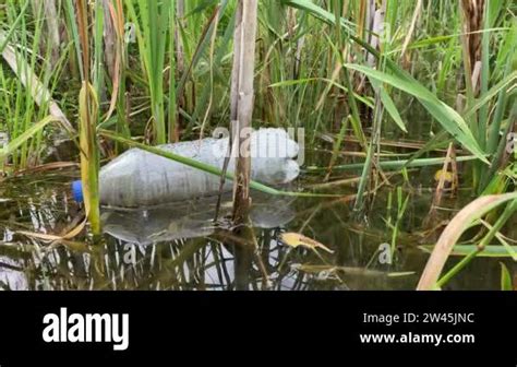 Plastic Bottle Floats In Water 4k Video Close Up Of Water Pollution