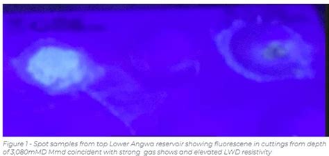 Zimbabwe Invictus Energy Reports Strong Gas Shows And Fluorescence