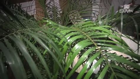 Centre Bien-être et Spa privé à Braine-le-Comte - OCEAN'S COCOON | By ...