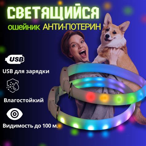 Ошейник светящийся регулируемый для собак мелких, средних и крупных ...