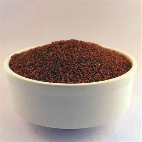 Loose Organic Ragi Seeds For Plantation At Rs 150kg In Abhanpur Id