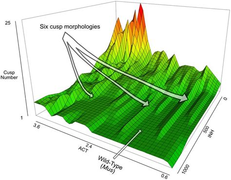 Morphogenetic Landscape Derived From In Silico Modeling Of Act And Inh Download Scientific