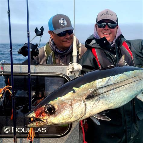 Albacore Trolling Rig Pitbull Tackle