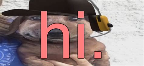 Chucklenuts Imgflip