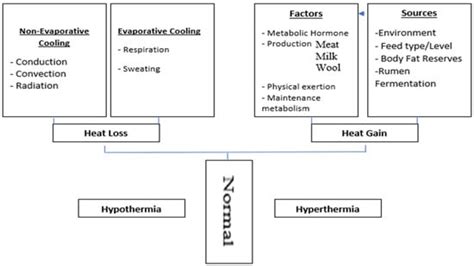 Non Invasive Physiological Indicators Of Heat Stress In Cattle