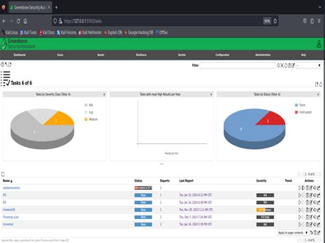 vulnerability assessments and penetration testing professional report