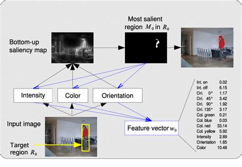 initialization the attention system vocus learns the target appearance