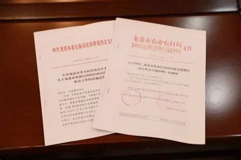 每日经济新闻｜创新！浙江龙港试点农民住房公积金制度 数字政务频道 温州网