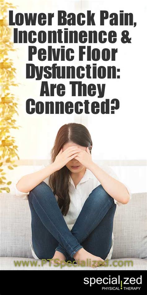 Lower Back Pain Incontinence And Pelvic Floor Dysfunction Are They