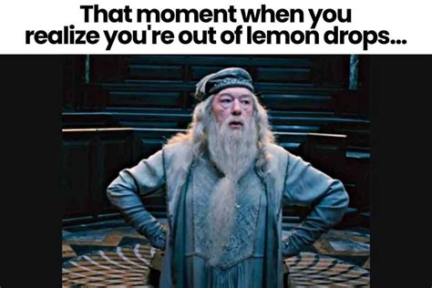 Magical Dumbledore Memes Humorous Tribute To Michael Gambon