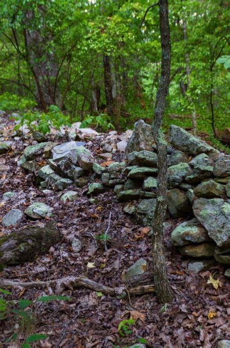 Pine Log Adventure Rocks