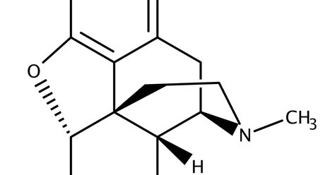 Opioid Use And Suicide Demise Bristolescortgirls