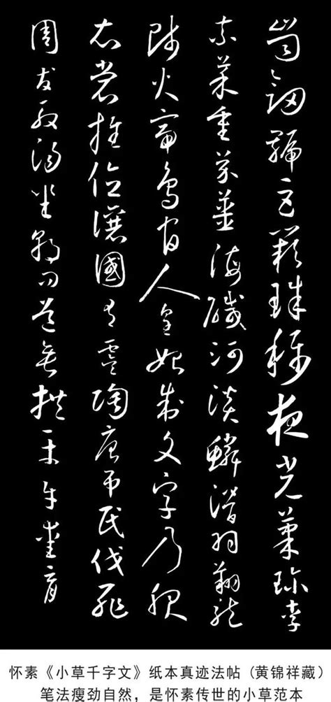 重磅懷素小草千字文紙本真跡現世 每日頭條