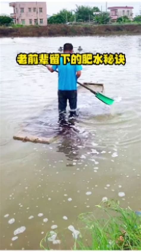 老前辈的养殖肥水妙招 三农 农业技术 好看视频