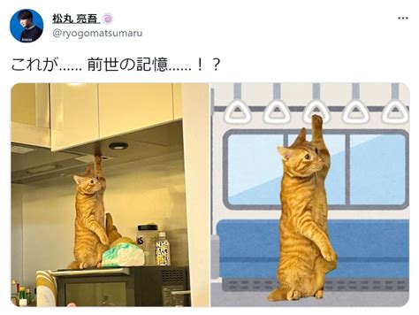 前世はサラリーマン 松丸亮吾の愛猫写真にファン大爆笑「可愛い」「お疲れ様です」 連載jp