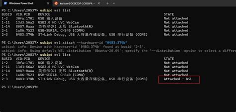 【经验分享】在wsl中使用usb设备 Wsl Usb Csdn博客