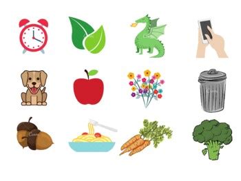 Plants T Chart By Alexa Habermehl TPT