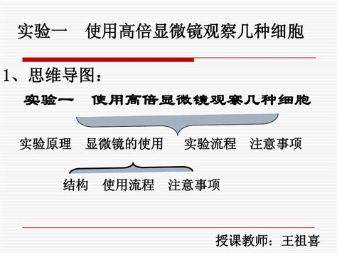 1 2使用高倍显微镜观察几种细胞 word文档在线阅读与下载 无忧文档