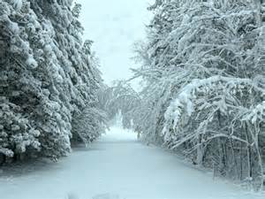 Storms Keep Snowmobile Trails Impassable In Western Up News Sports